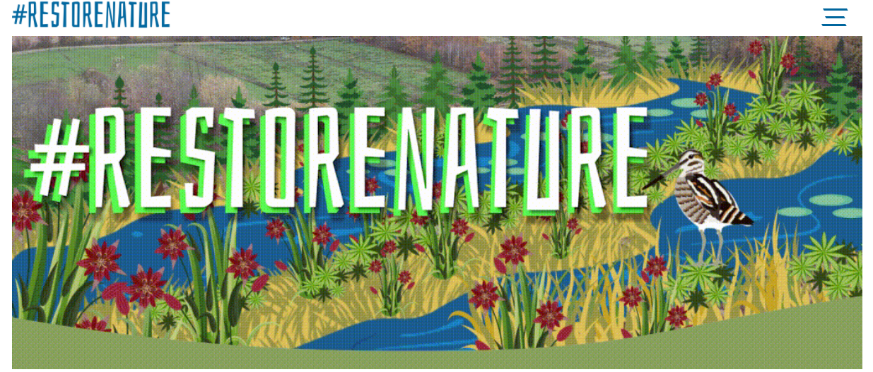 Campaign Spotlight: Restore Nature Email Campaign - Fix The Status Quo